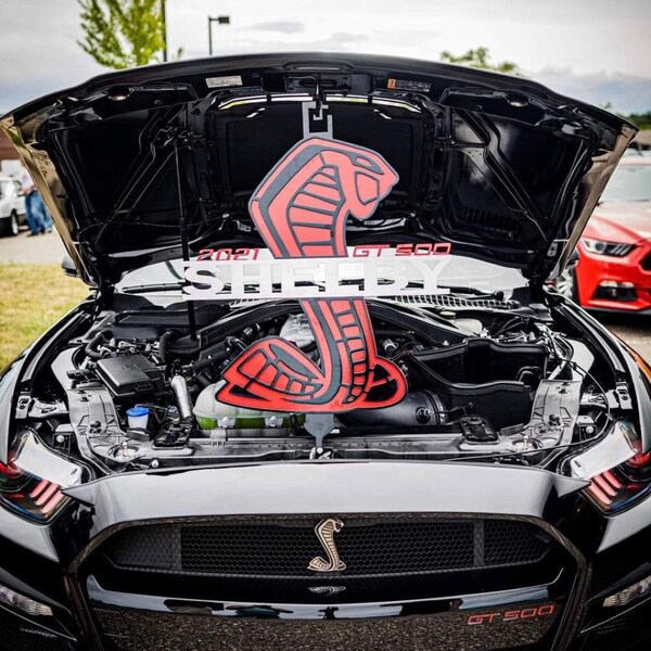 Mustang Hood Prop - Etsy