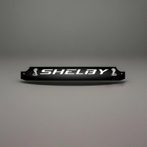 2016-2022 GT500 / GT350 RADIATOR COVER PLATE - Etsy