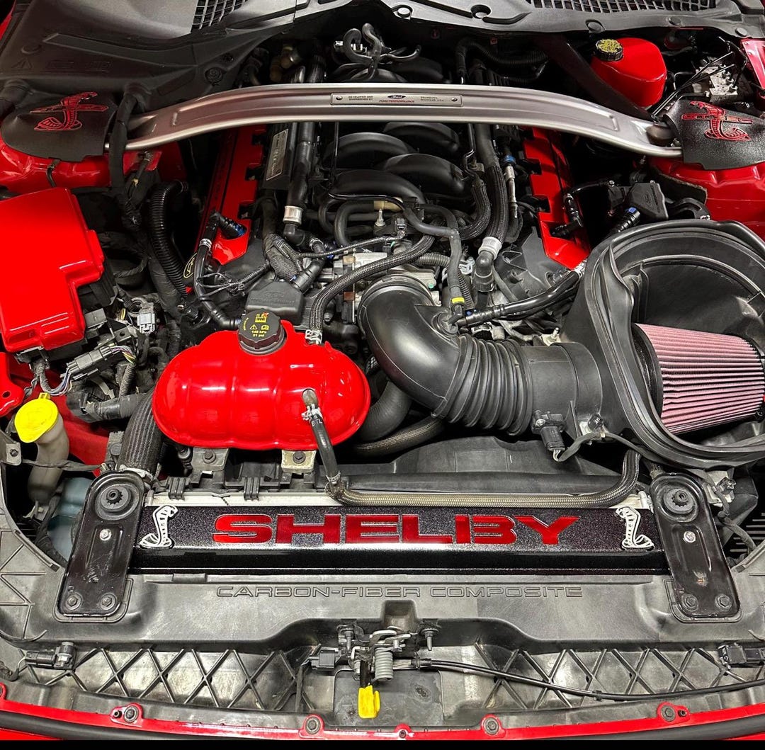 2016-2022 GT500 / GT350 RADIATOR COVER PLATE - Etsy