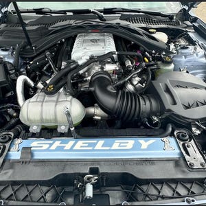 2016-2022 GT500 / GT350 RADIATOR COVER PLATE - Etsy