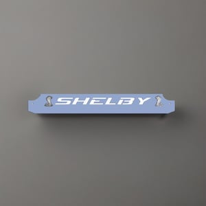 2016-2022 GT500 / GT350 RADIATOR COVER PLATE - Etsy