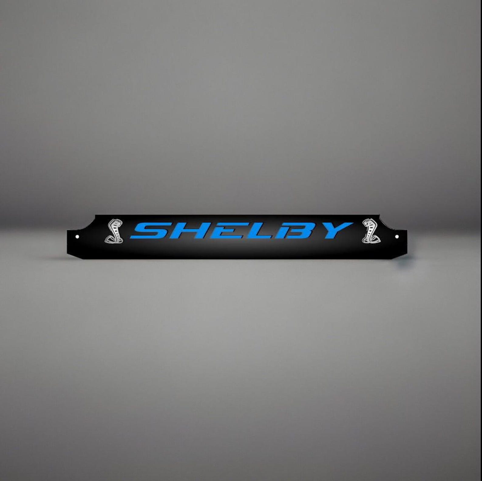 2016-2022 GT500 / GT350 RADIATOR COVER PLATE - Etsy
