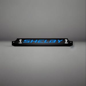 2016-2022 GT500 / GT350 RADIATOR COVER PLATE - Etsy