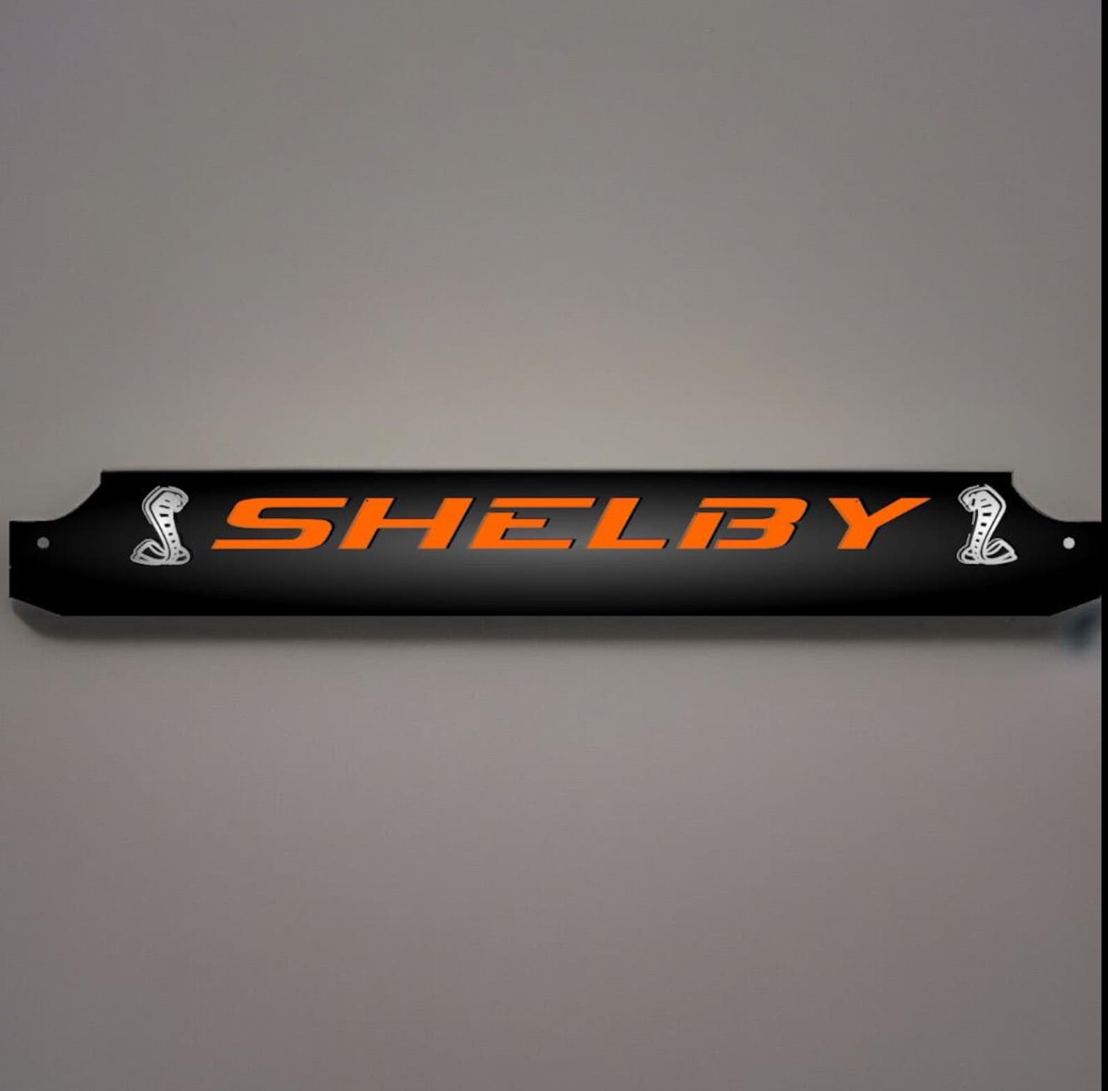 2016-2022 GT500 / GT350 RADIATOR COVER PLATE - Etsy
