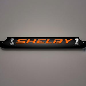 2016-2022 GT500 / GT350 RADIATOR COVER PLATE - Etsy