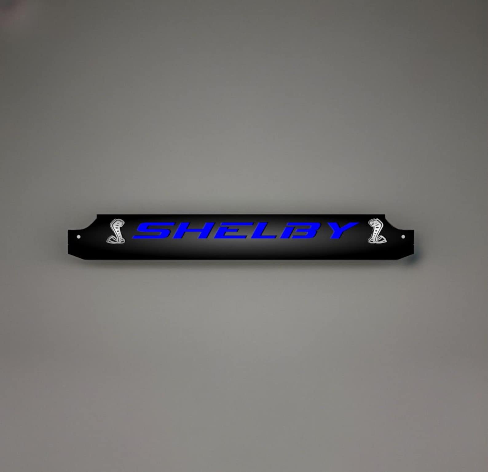 2016-2022 GT500 / GT350 RADIATOR COVER PLATE - Etsy