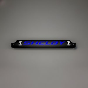 2016-2022 GT500 / GT350 RADIATOR COVER PLATE - Etsy