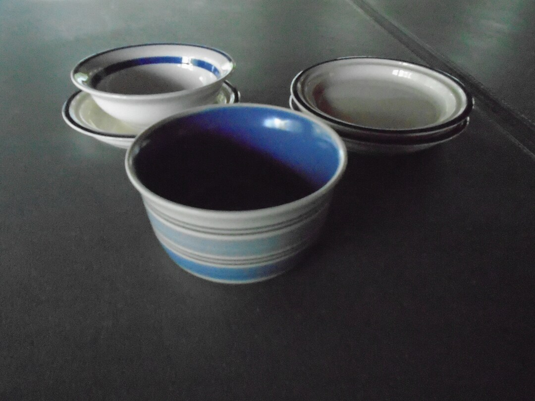 5 Piece Pfaltzgraff Rio Cereal or Soup Bowls and Plates - Etsy