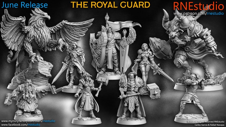 The Royal Guard Entire Set Dnd Miniature BLACK FRIDAY - Etsy