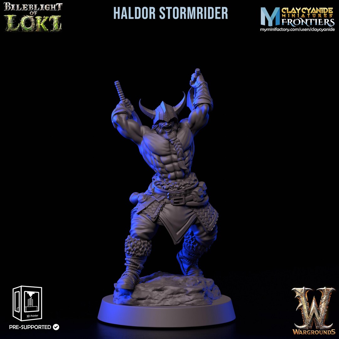Viking With Dual-axes Bileblight of Loki Minis for Tabletop Games Like ...