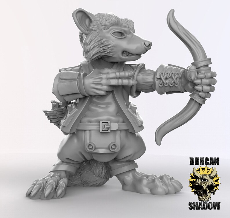 Racoon Folk Rogue Duncan Shadow Printed Miniature Dungeons - Etsy