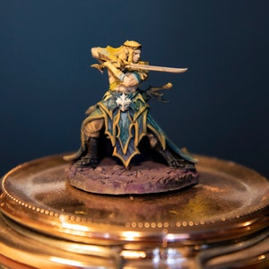 Dark Elf Swordmaster - Archvillain Games Printed Miniature | Dungeons ...
