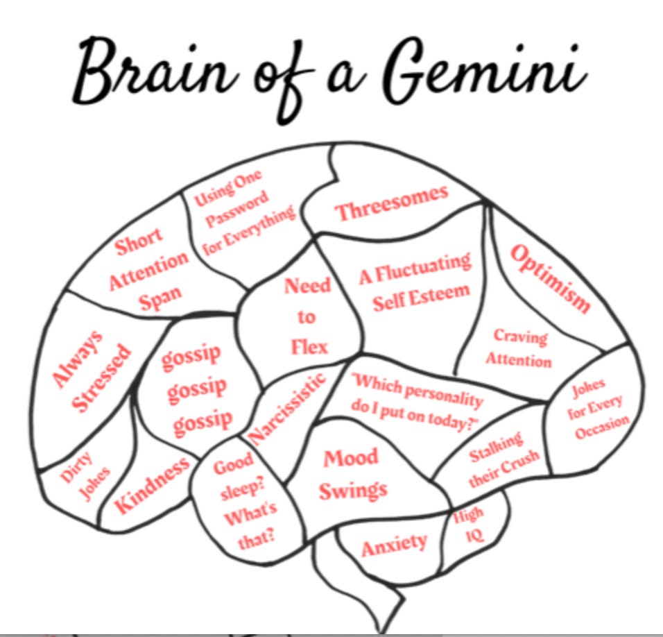Brain of a Gemini Zodiac Tee Gemini Zodiac Gift Zodiac | Etsy