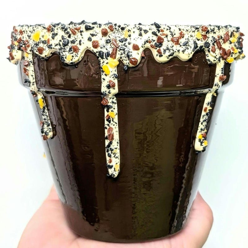 Donut Plant Pot - Etsy