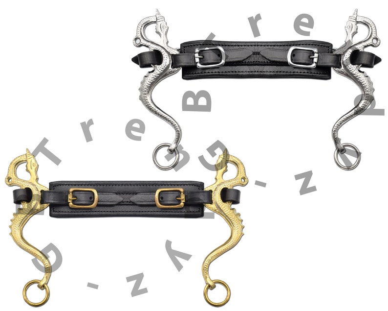 Dragon Hackamore Horse Shanks With Leather Gold Silver - Etsy