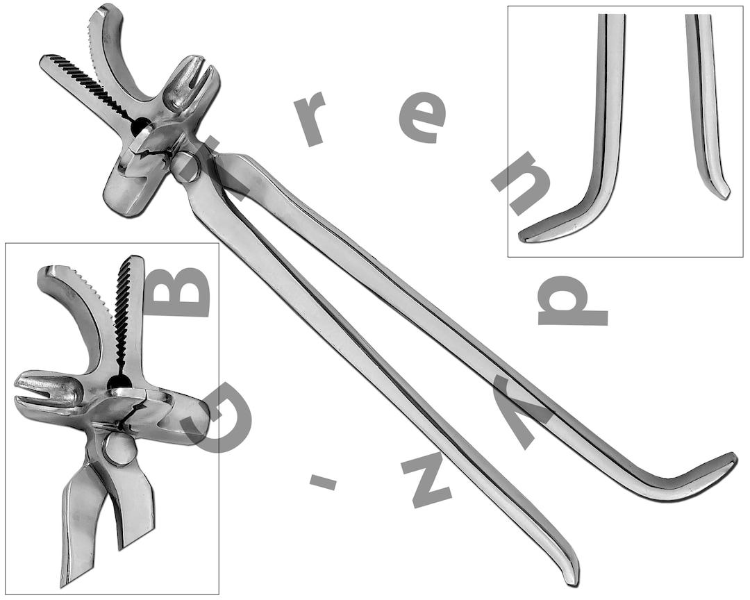 Professional Farrier Tools Universal/combo/combination Farrier Hoof ...