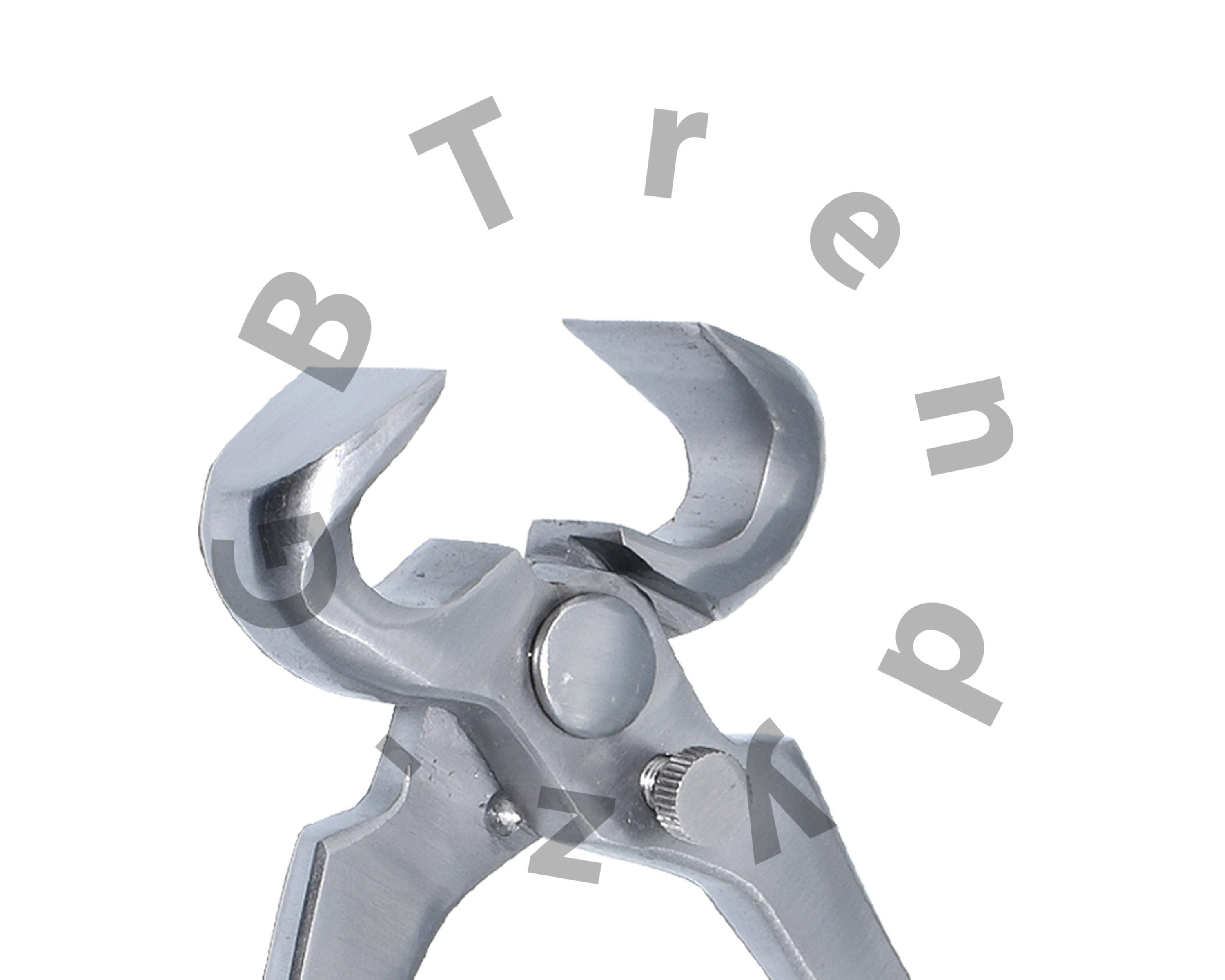 Professional Farrier Hoof Nipper Spring Loaded & Locking Nut Trimmer ...