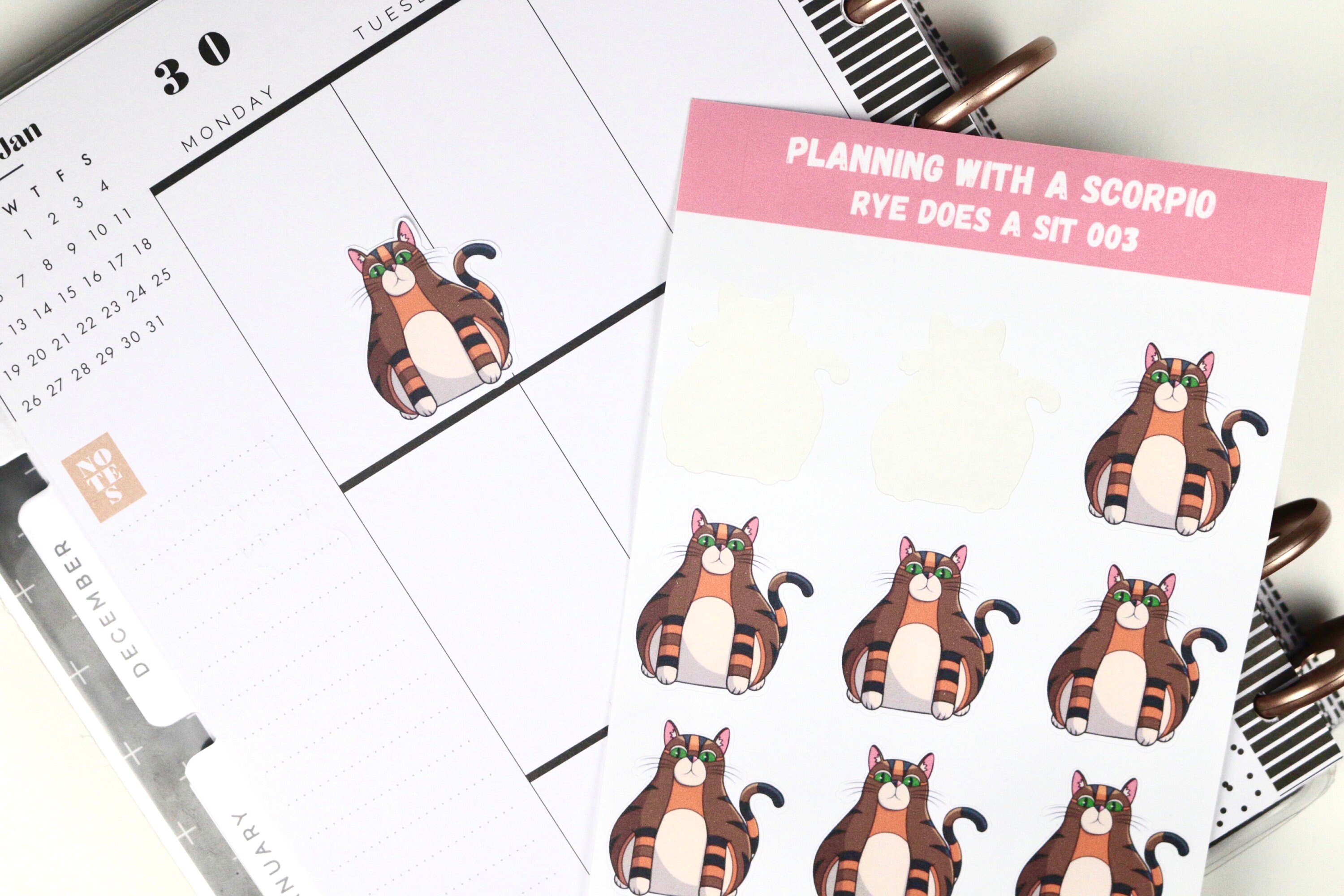 Hand Drawn Cat Planner Stickers Decorative Cats Stickers | Etsy