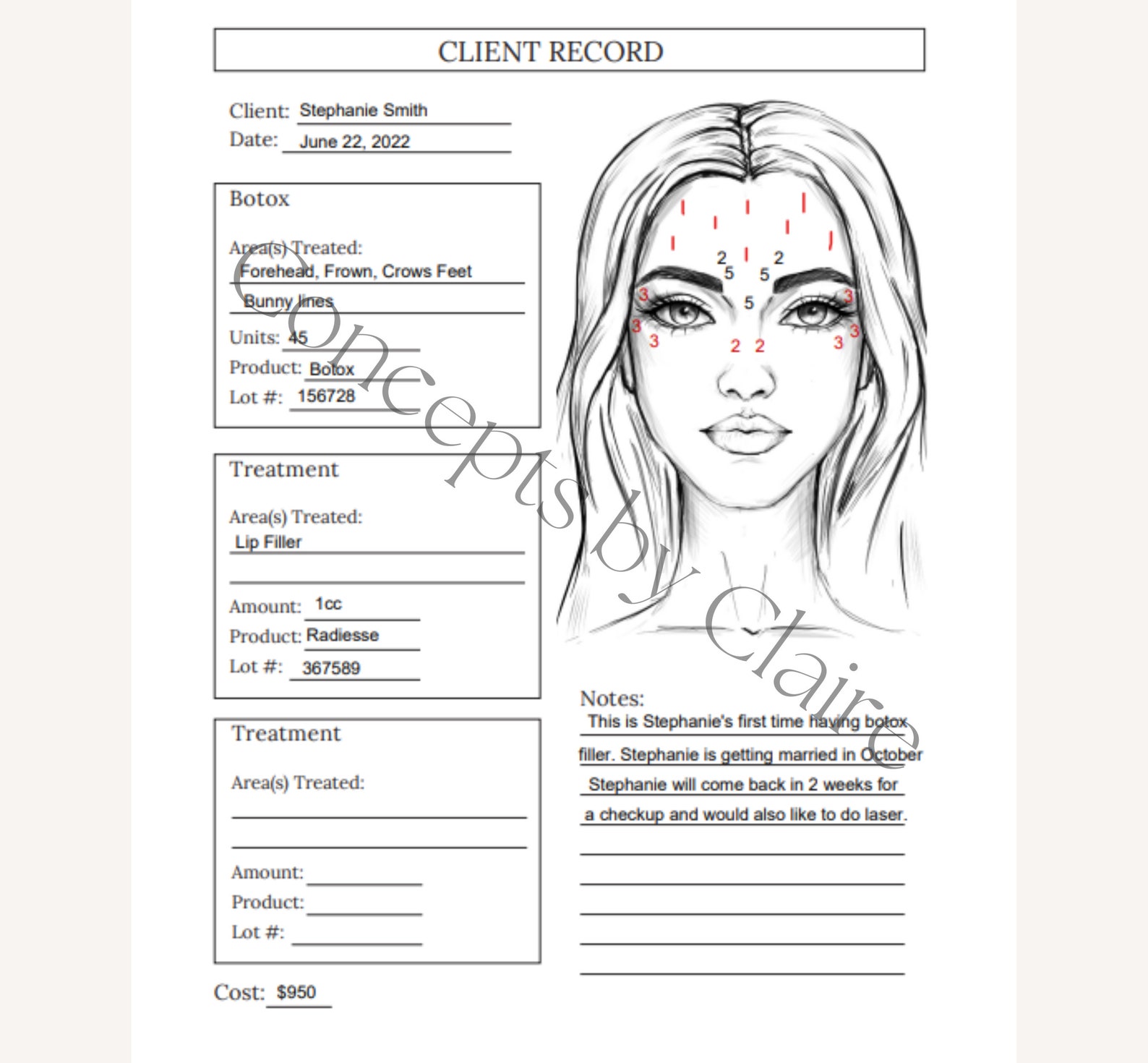 Aesthetic Nurse Digital Template Botox Nurse Template - Etsy