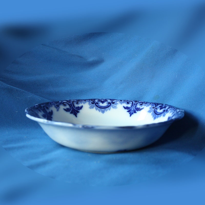 Flow Blue China - Etsy