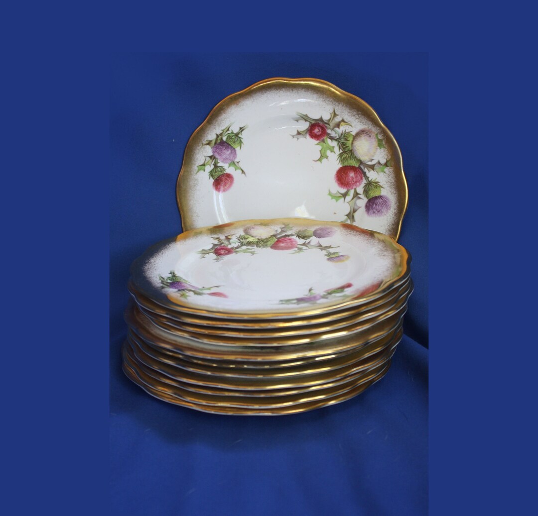 Set of 12 Vintage Queen Anne Fine Bone China "dundee Thistle" Heavy ...