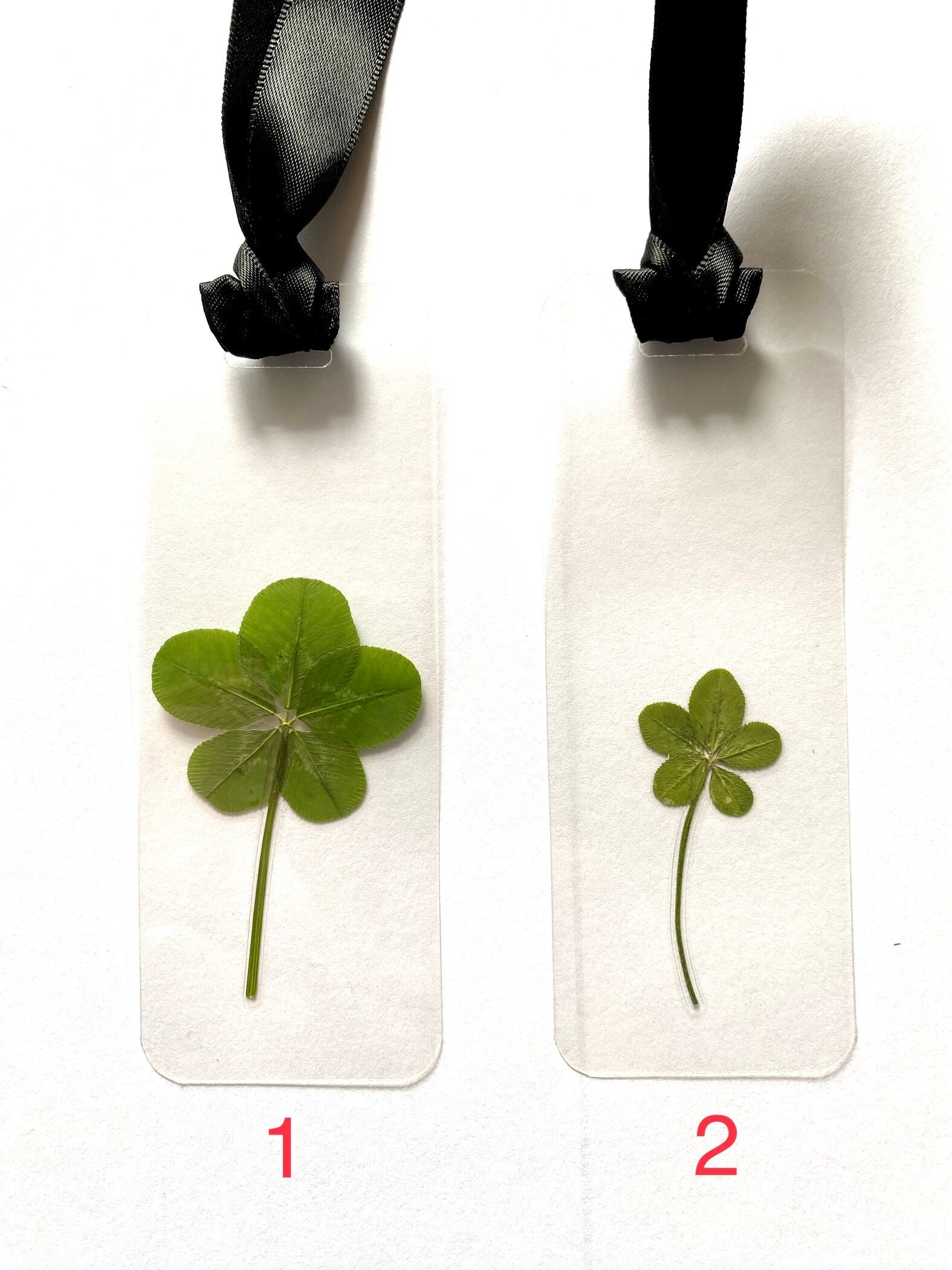 Laminated FIVE Leaf Clover Bookmark - Etsy