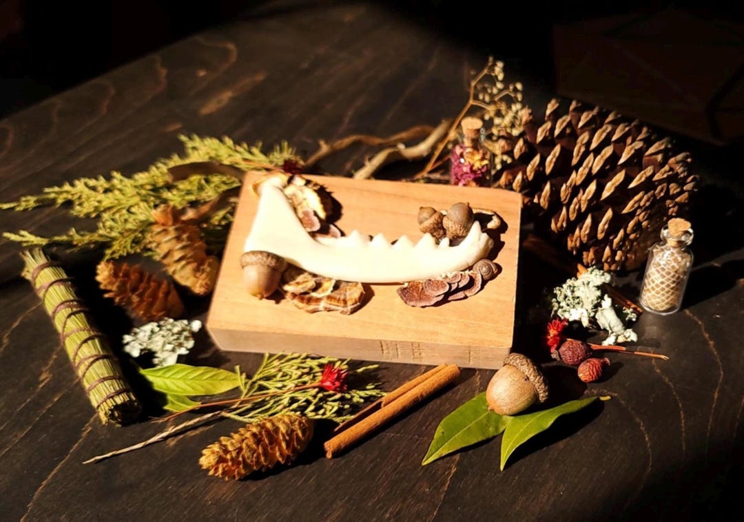 Resin Red Fox Jaw Wall Art - Etsy