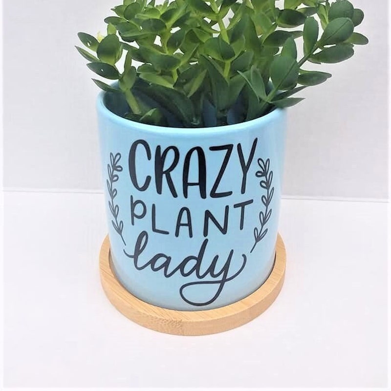 Plant Puns Pots - Etsy