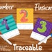 Number Tracing Printable Flash Cards,educational Activity, Homeschool ...