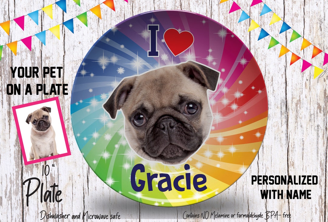 Personalized Pet Face Plate/custom Pet Face Tableware/ Microwave Safe ...