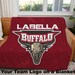 Logo Photo Blanket, Sports Fleece Blanket, Personalized Stadium Team ...