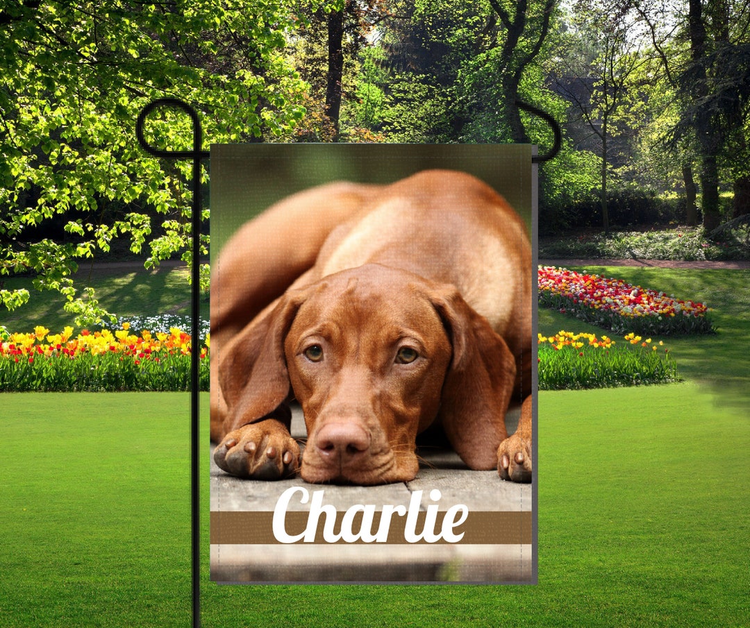 Pet Photo Garden Flags, Love My Pets Flag, Photo Lawn Decor, Pet Photo ...