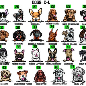 Personalized Name Blanket for Dogs/custom Dog Breed Name Blanket ...