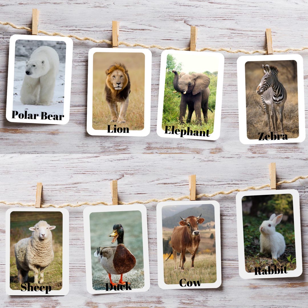Montessori Animal Matching Cards: Preschool Activity (digital Download ...