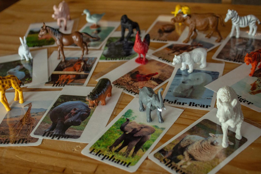 Montessori Animal Flash Cards, Animal Matching Cards, Preschool ...