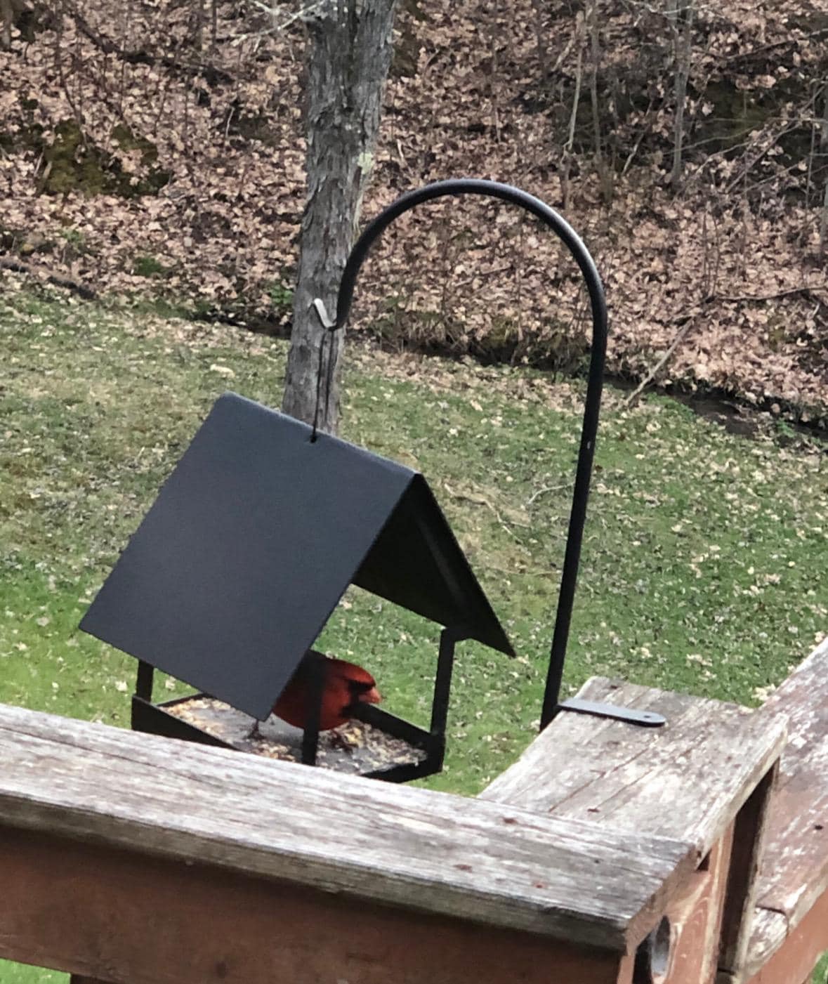 Bird Feeder DXF File, Bird Feeder Cut File, Metal Plasma Cut Bird ...