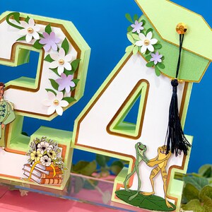 Large Graduation Princess Tiana Theme 3D Letters or Numbers | Tiana ...