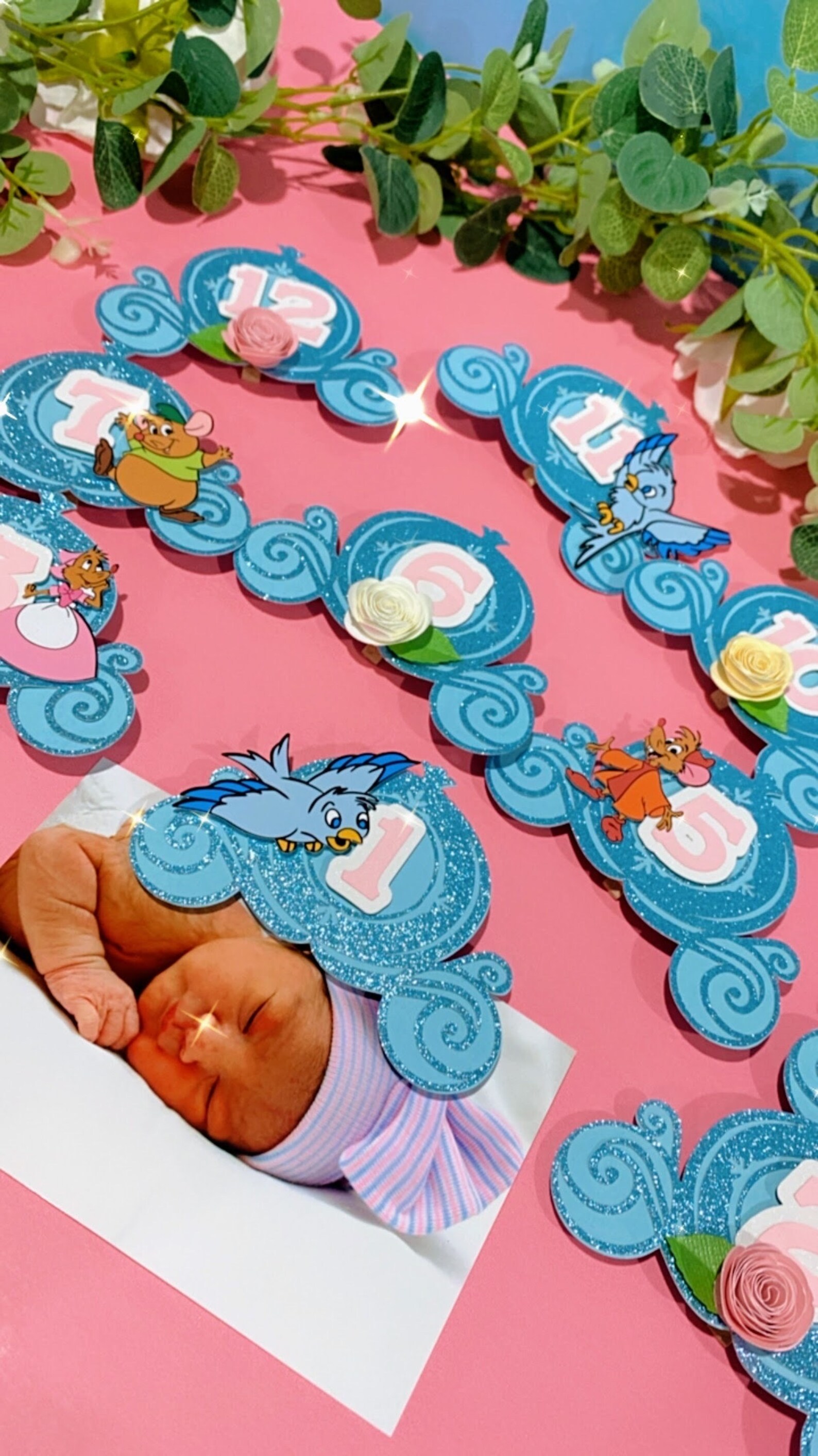 Landscape Frame Cinderella Birthday Banner Cinderella Princess Theme ...