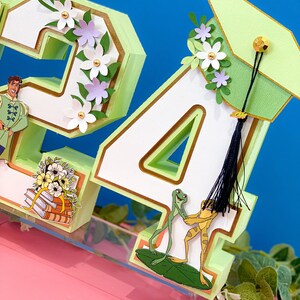 Large Graduation Princess Tiana Theme 3D Letters or Numbers | Tiana ...