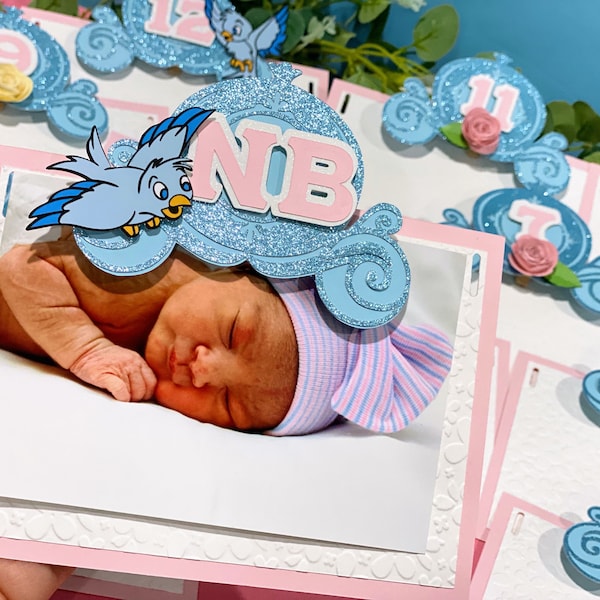 Cinderella Theme - Etsy