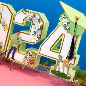 Large Graduation Princess Tiana Theme 3D Letters or Numbers | Tiana ...