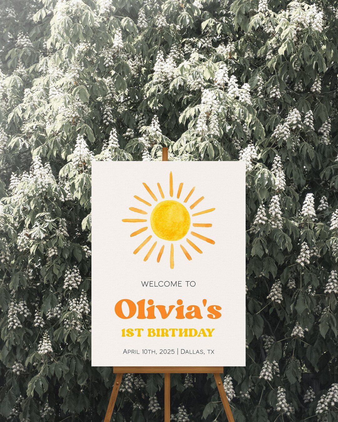 Sun Birthday Welcome Sign Template, First Trip Around the Sun Welcome ...