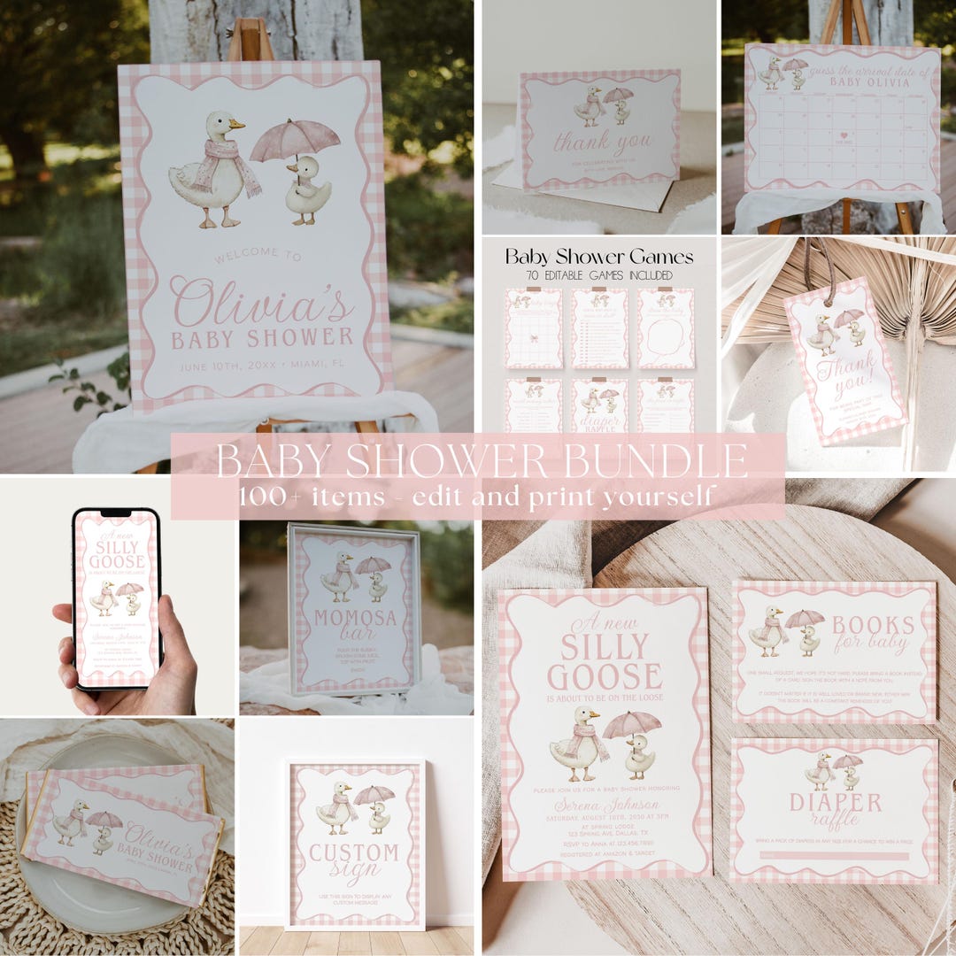 Little Silly Goose Baby Shower Bundle, Pink Gingham Goose Baby Shower ...