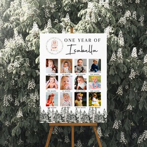 Baby's First Year Photos Sign Template, Winter Onederland First ...