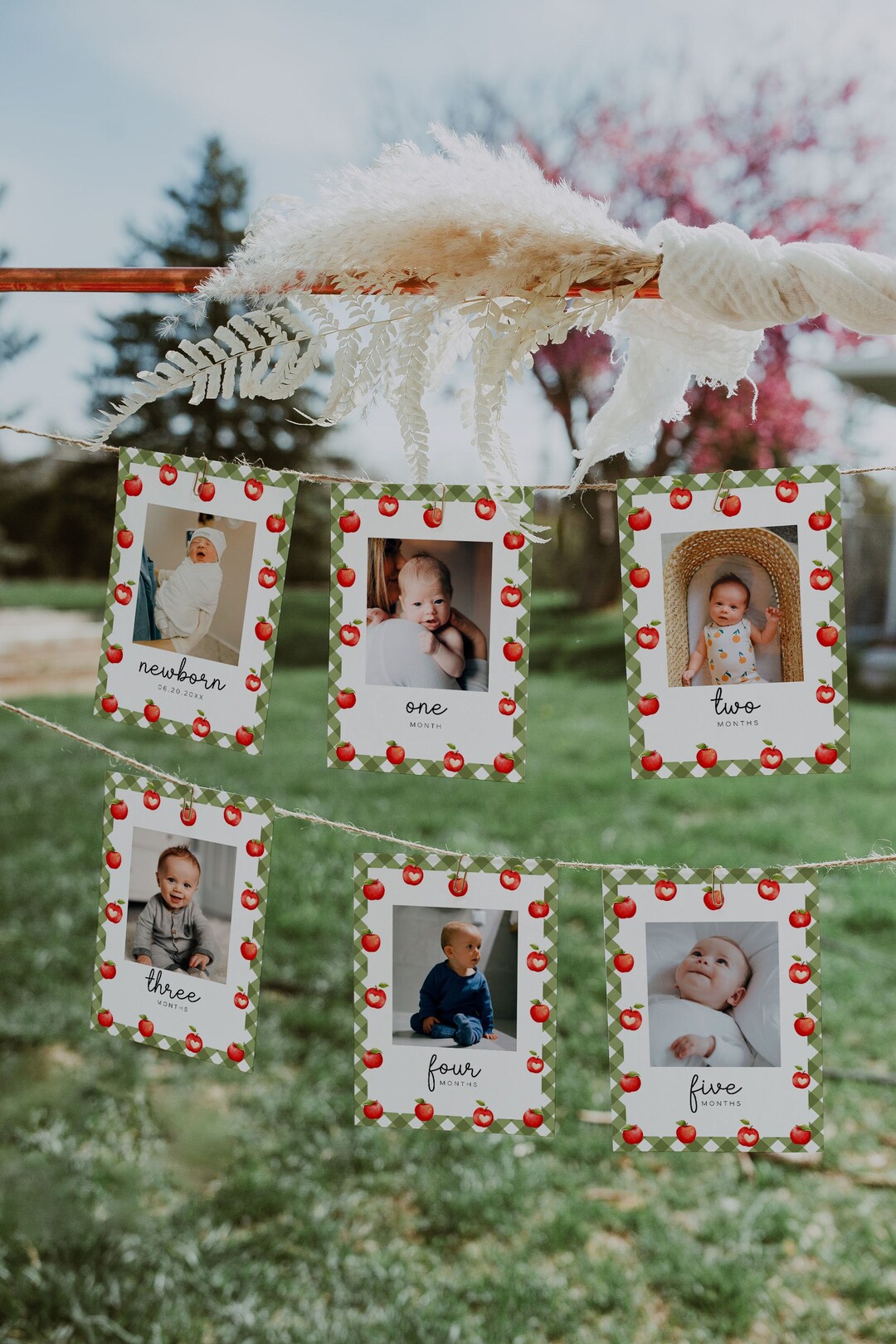 Apple First Birthday Monthly Photo Banner, Apple 1st Birthday Photo ...