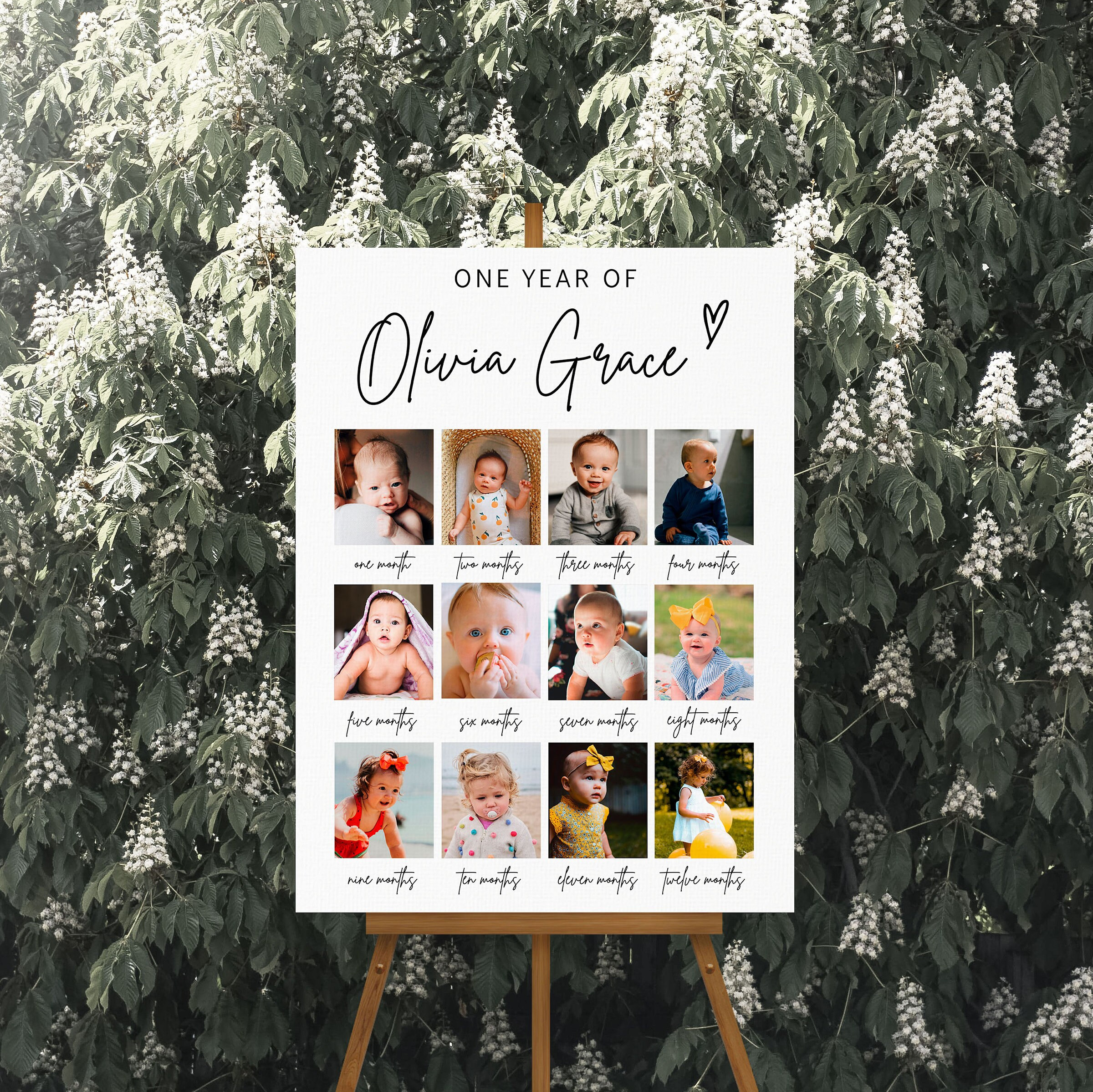 First Birthday Photo Sign Template, Modern 1st Birthday Photo Sign ...