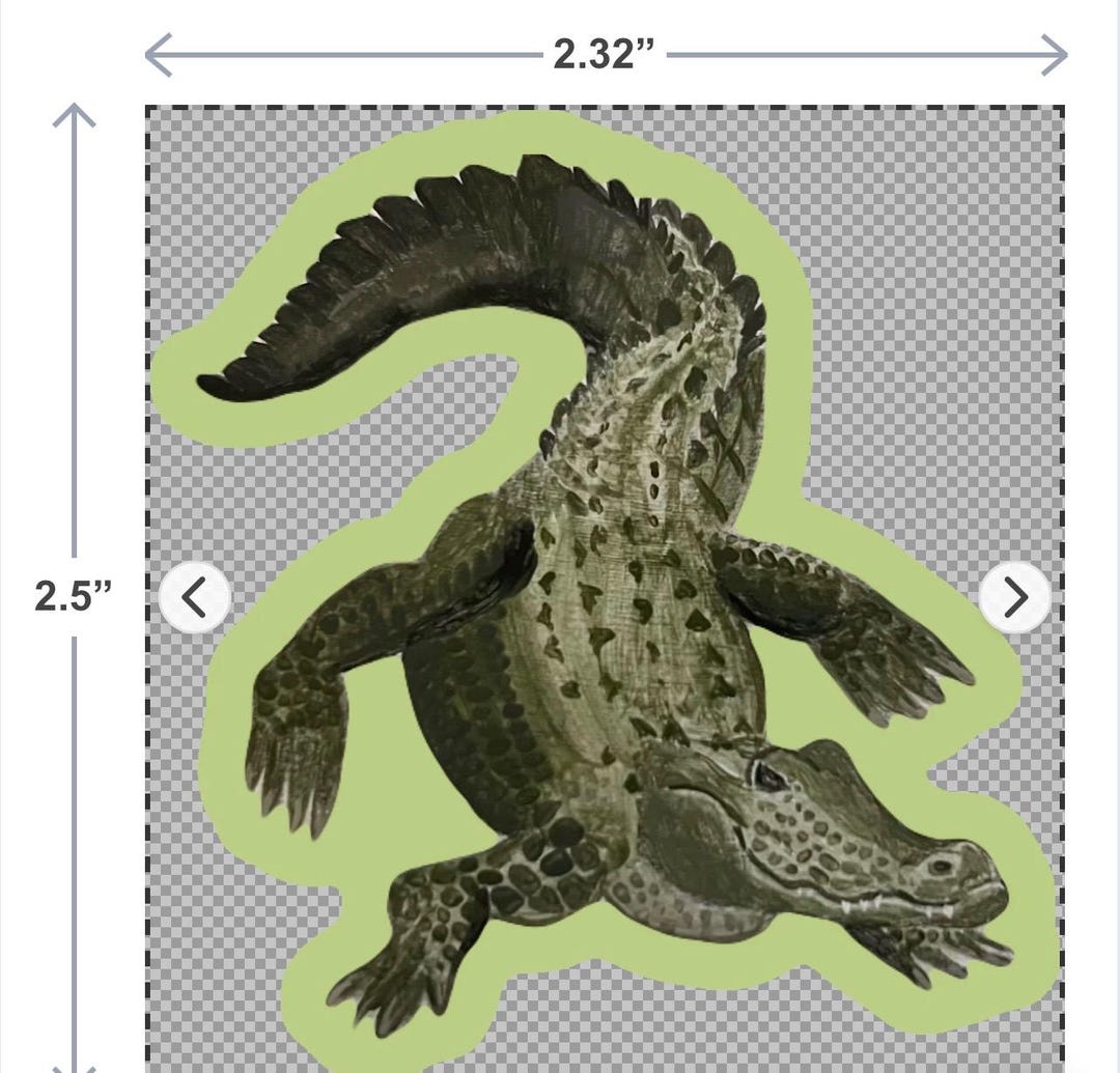 Florida Gator Sticker - Etsy