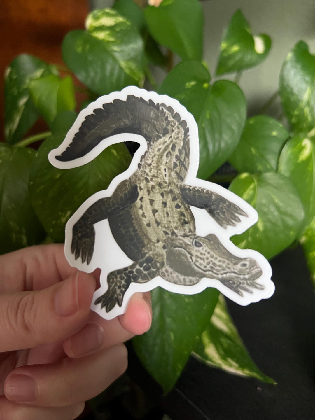 Florida Gator Sticker - Etsy