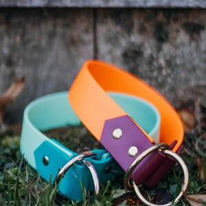 1.5 Inch Biothane Slip Collar - Etsy
