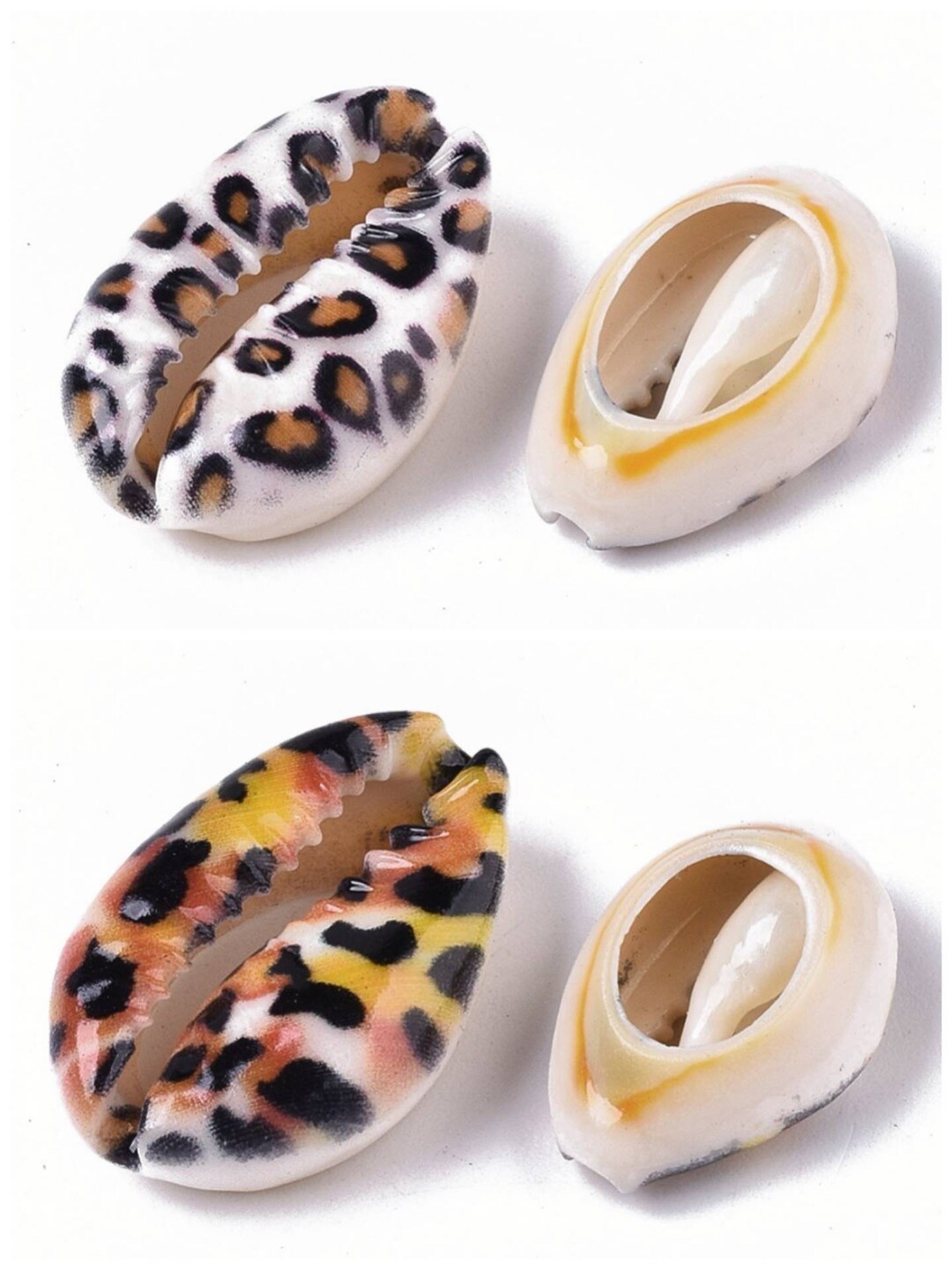 Leopard Cowrie Shell Beads 2 Models to Choose From Set of 3. - Etsy